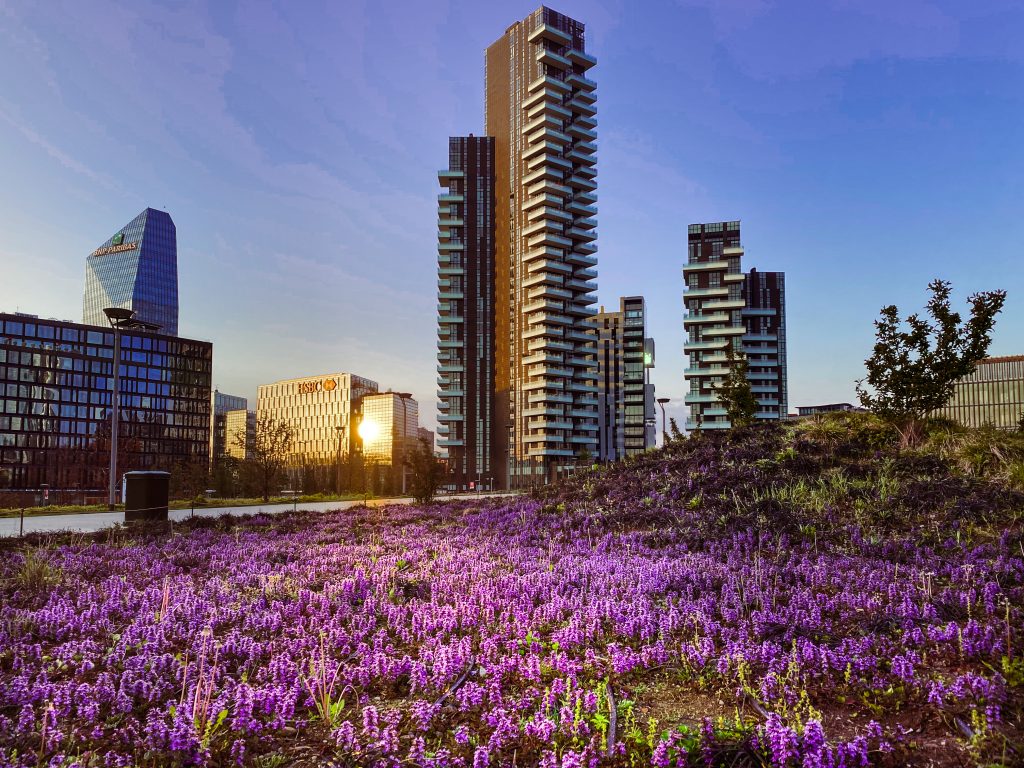 BAM - Biblioteca degli Alberi di Milano