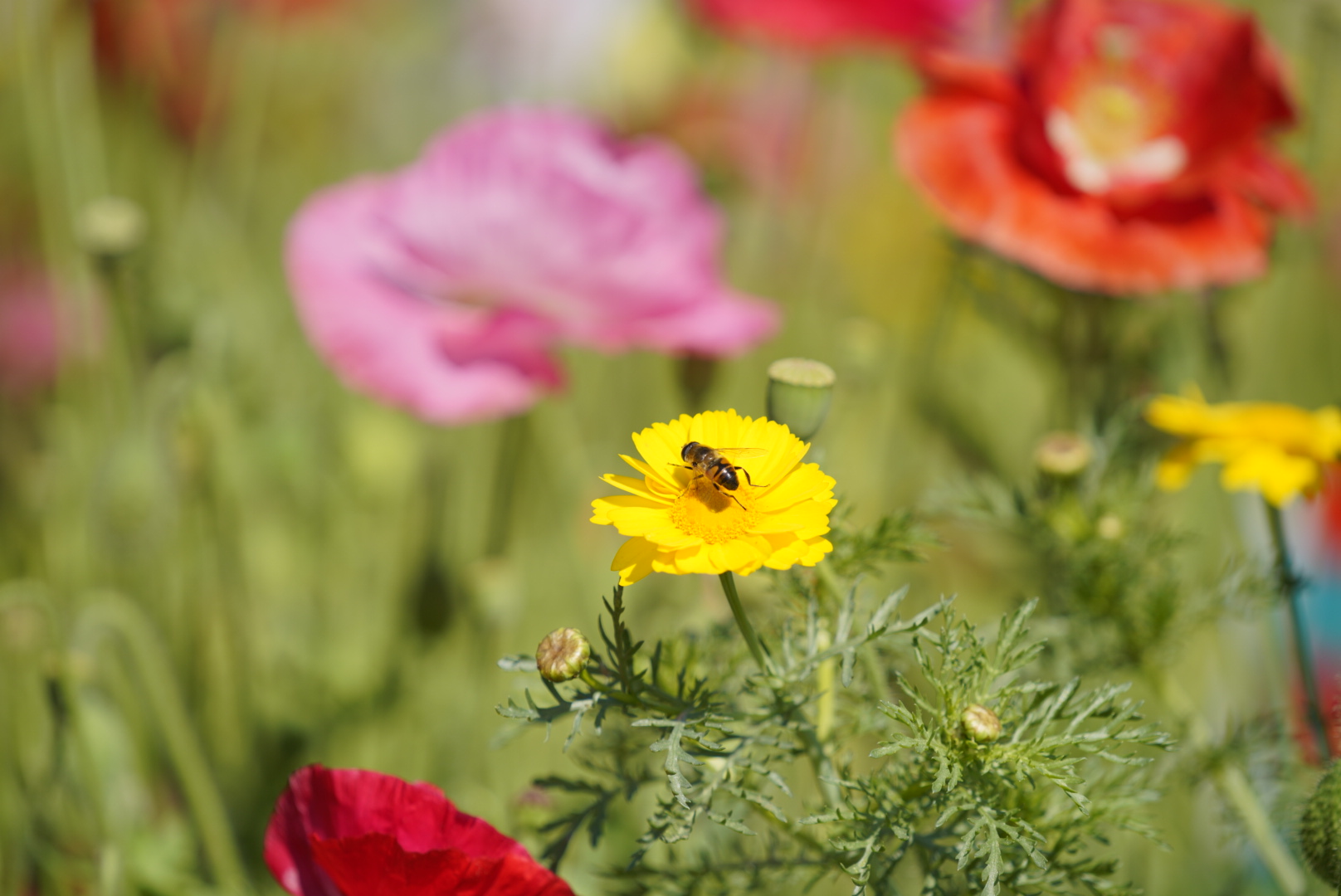 There is a new hotel at BAM! - BAM