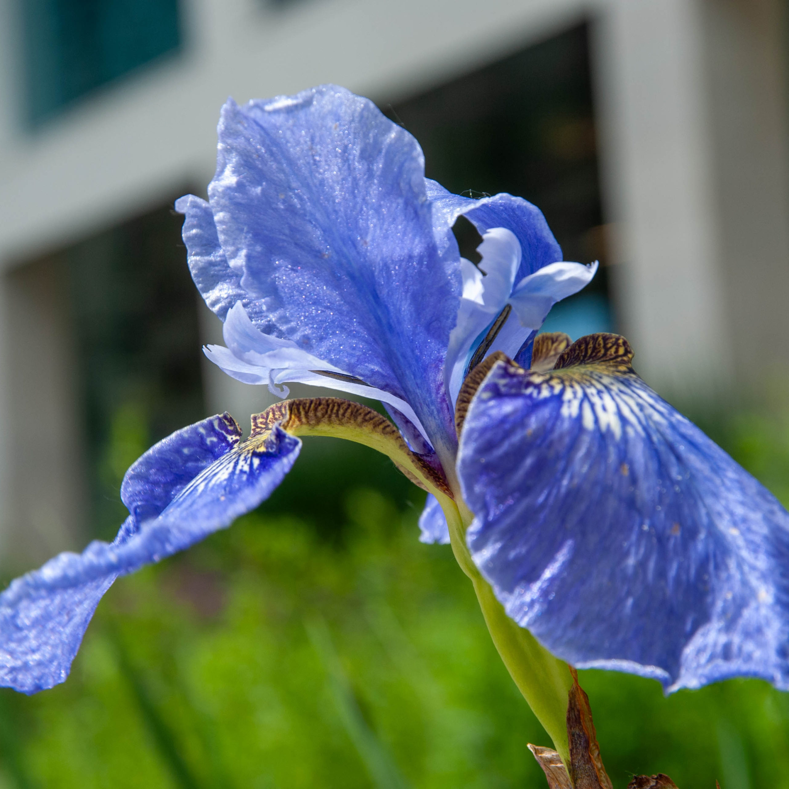Natura è (anche) fragilità! - BAM