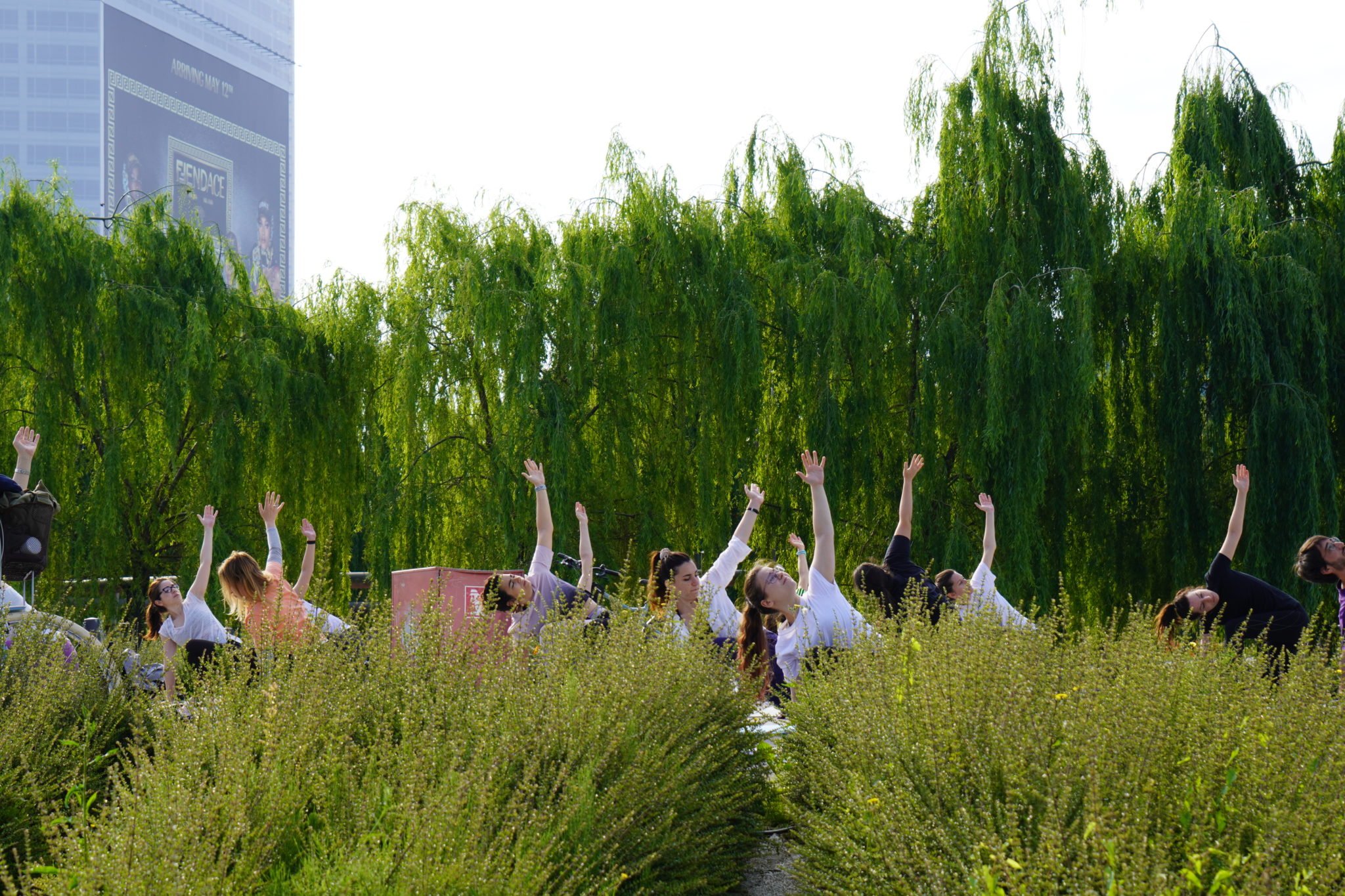 BAM Yoga Openair 17.9 - BAM